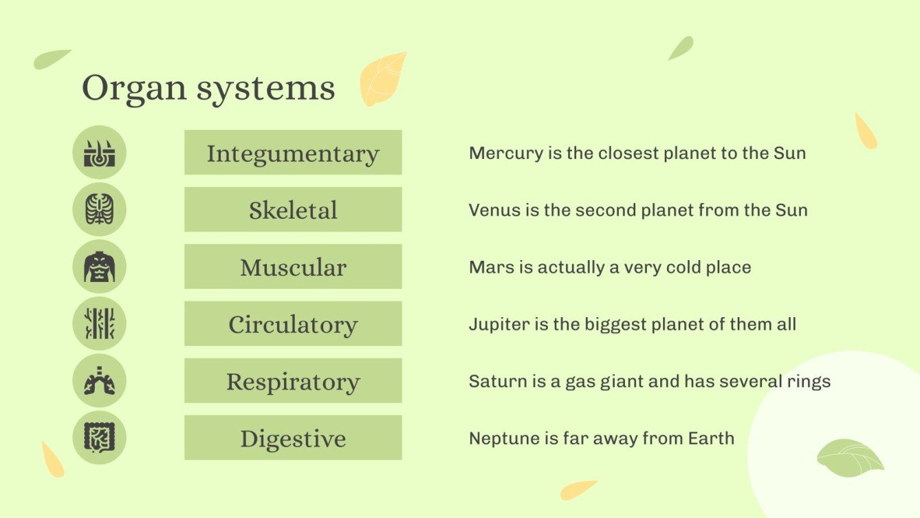 Science Subject for Middle School: Body Organs Presentation