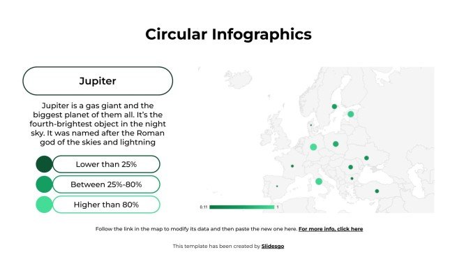 Circular Infographics Presentation