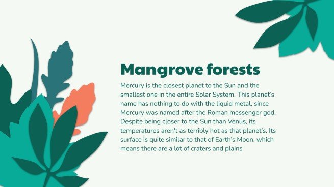 The Mangrove Ecosystem Presentation