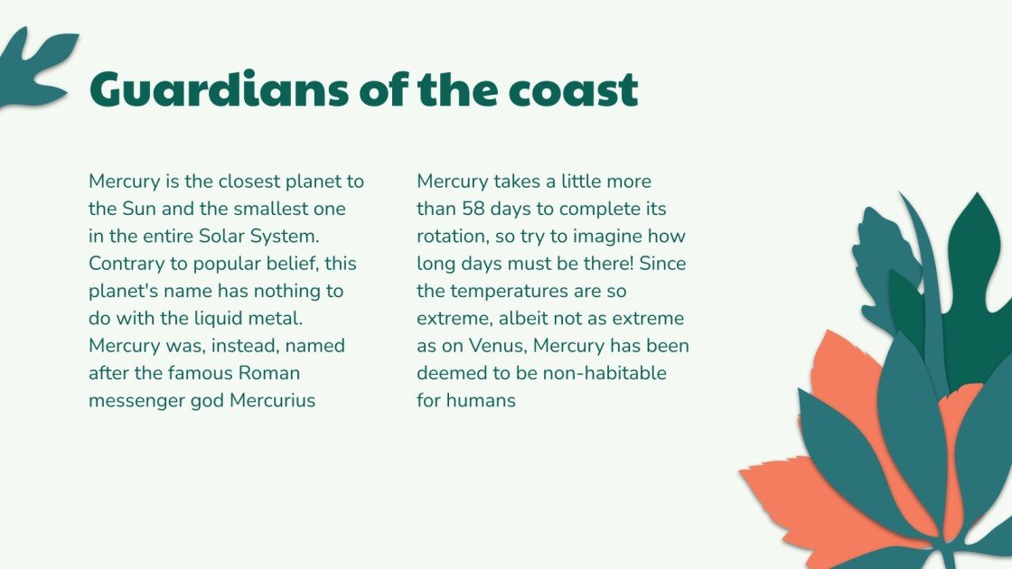 The Mangrove Ecosystem Presentation