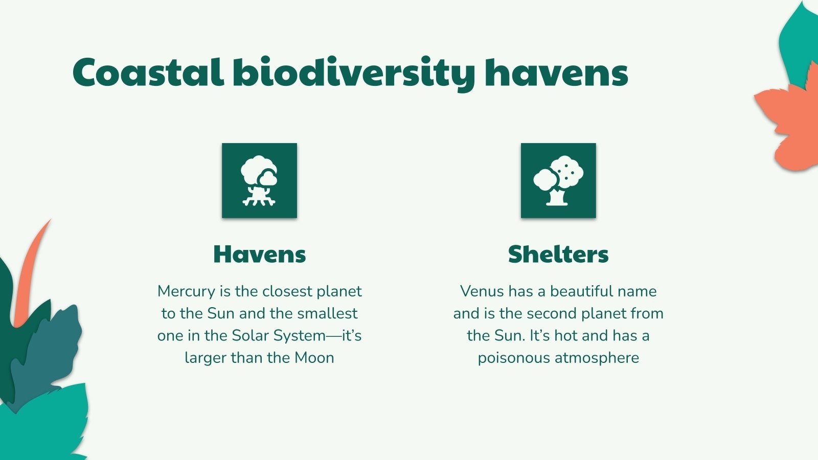 The Mangrove Ecosystem Presentation