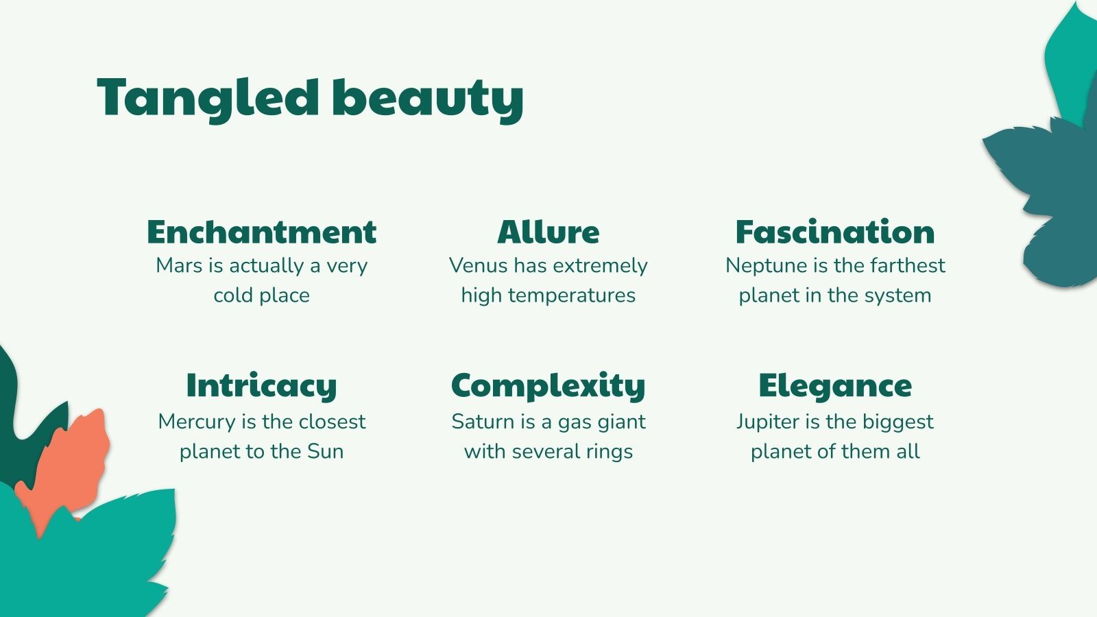 The Mangrove Ecosystem Presentation