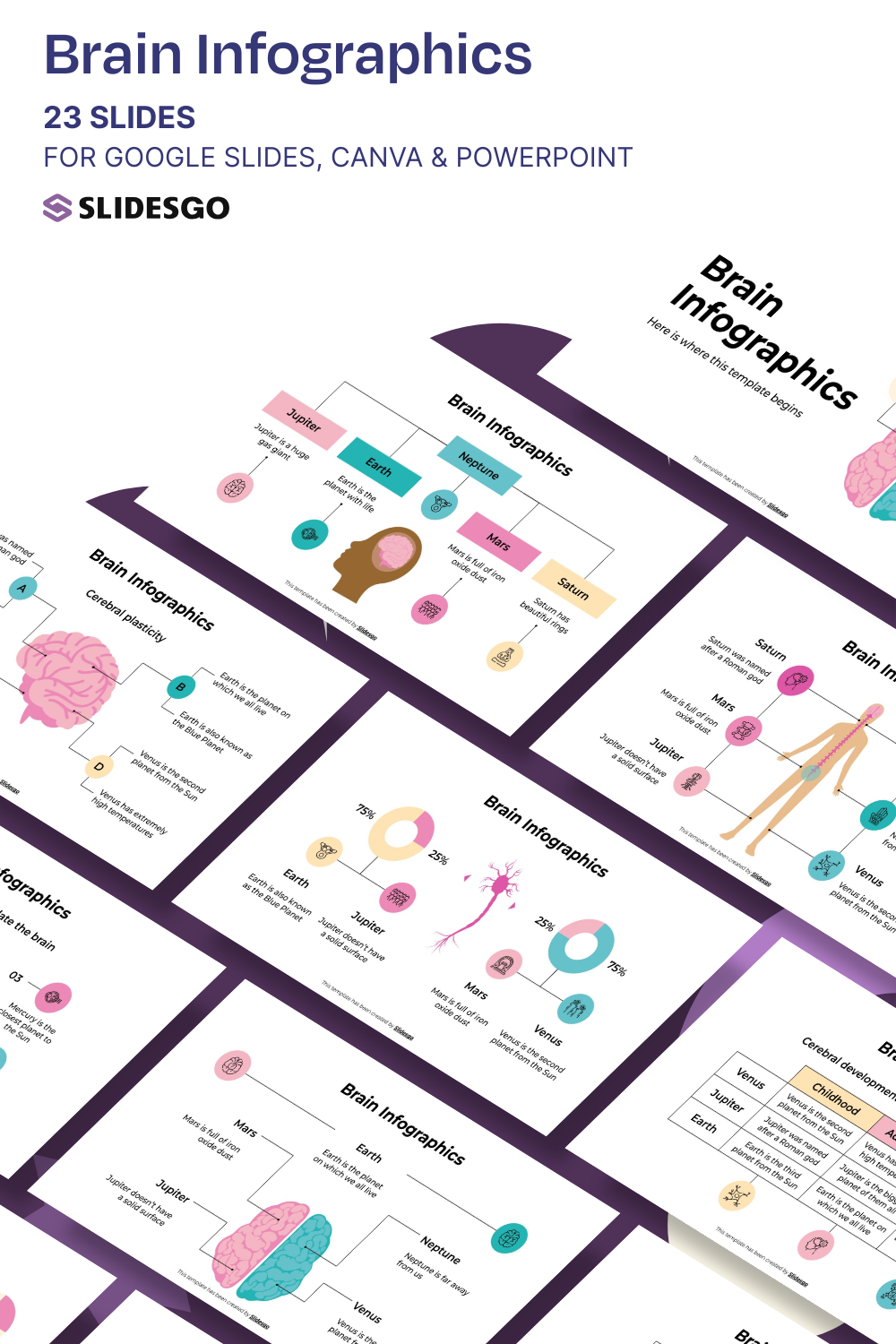 Brain Infographics Template