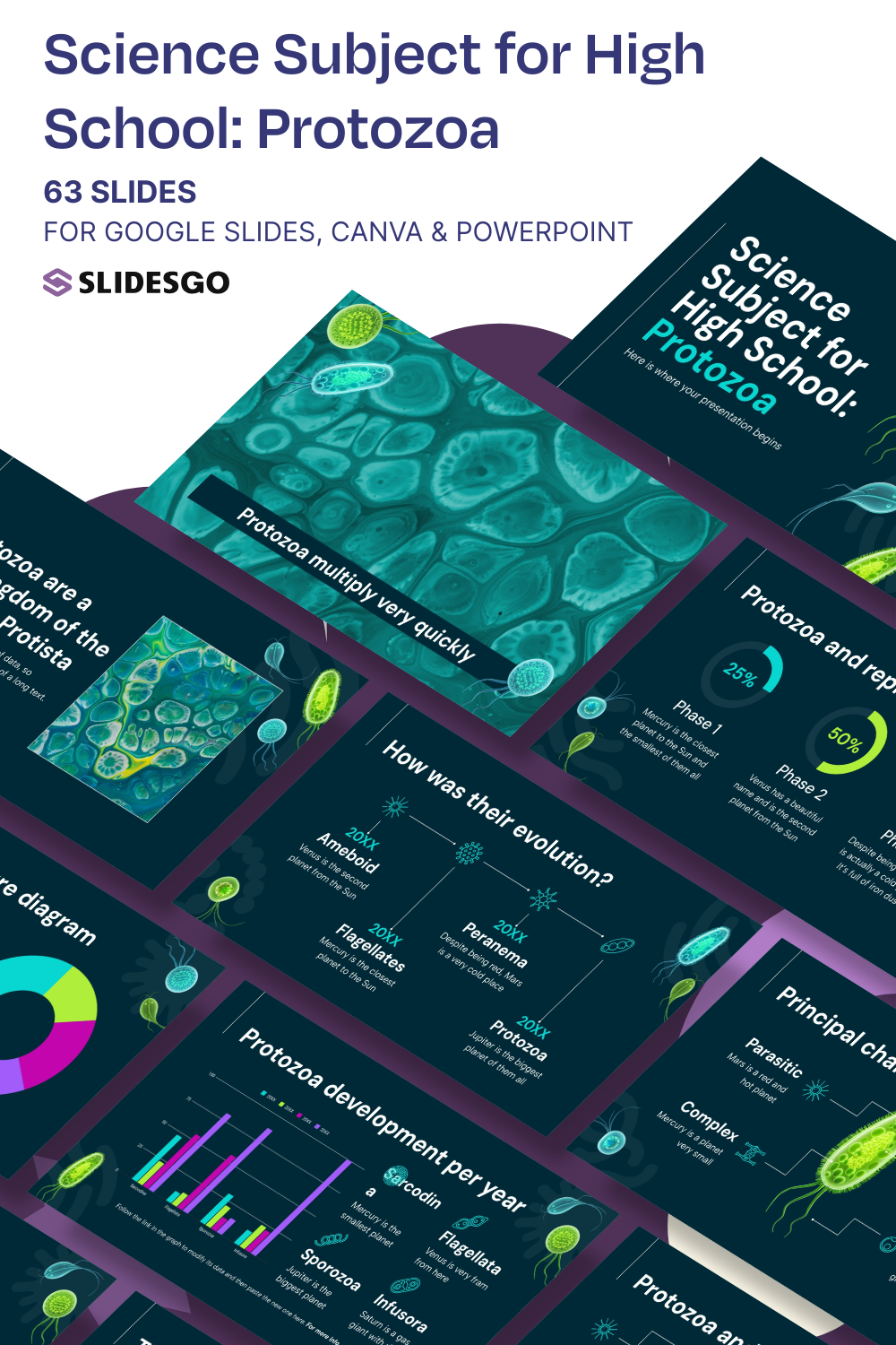 Science Subject for High School: Protozoa Presentation
