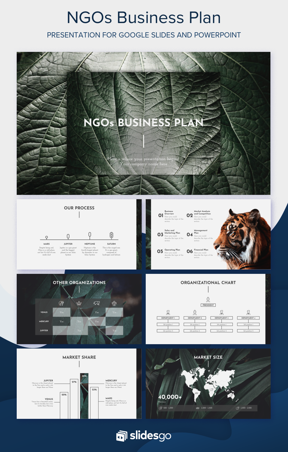 NGOs Business Plan Google Slides and PowerPoint Template