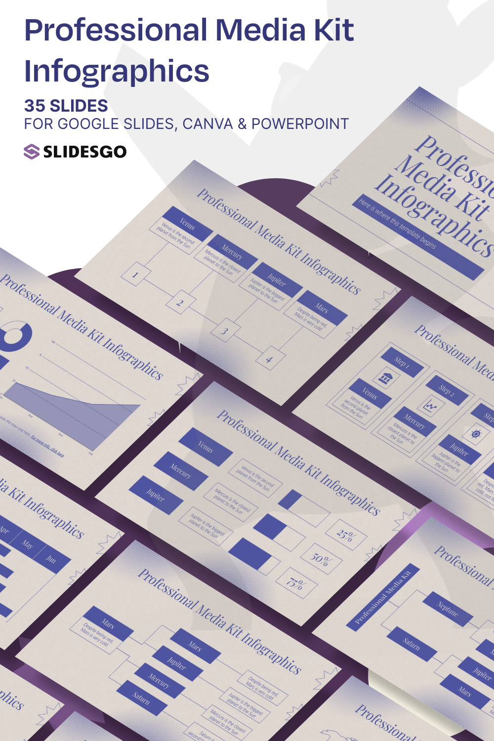 Professional Media Kit Infographics Presentation