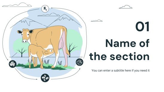 Nitrogen Cycle Stages Presentation