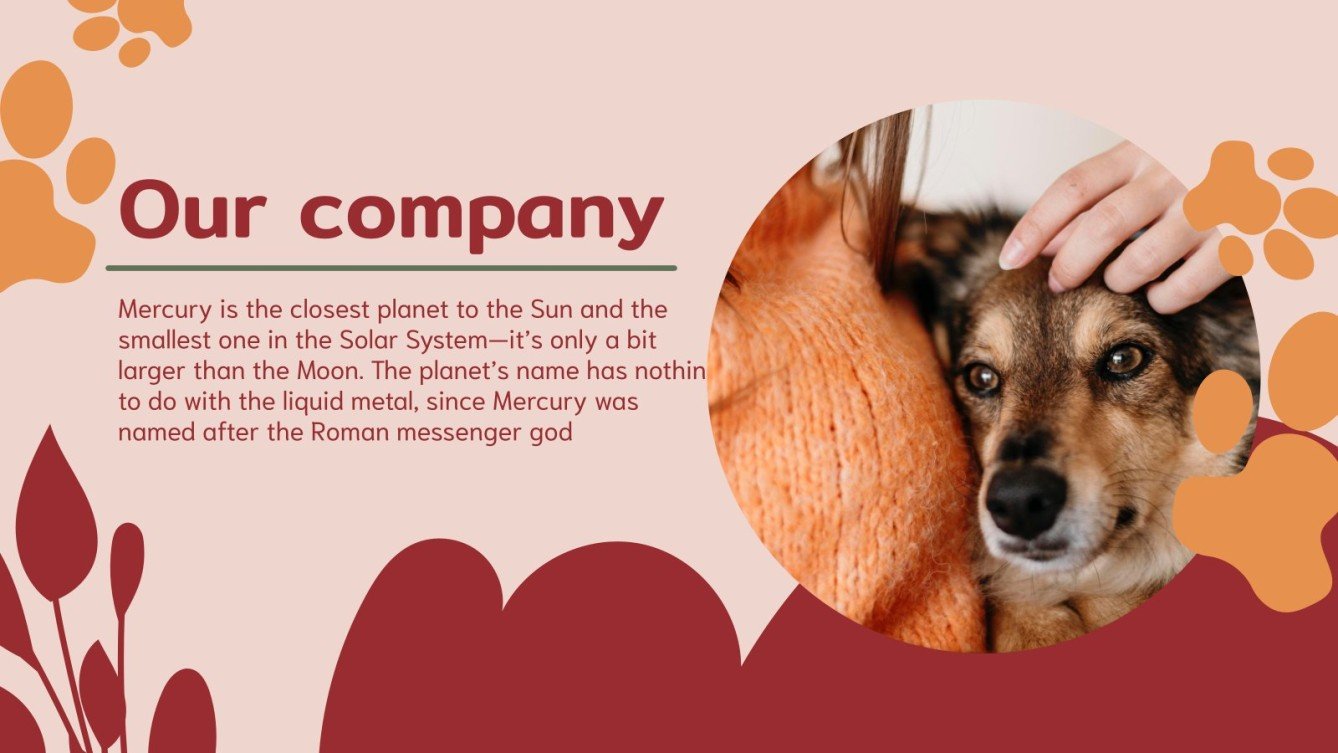 Pet Sitting Campaign Presentation