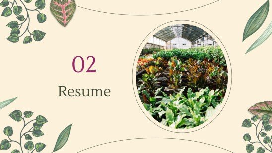 Leaves and Plants Design Portfolio Presentation