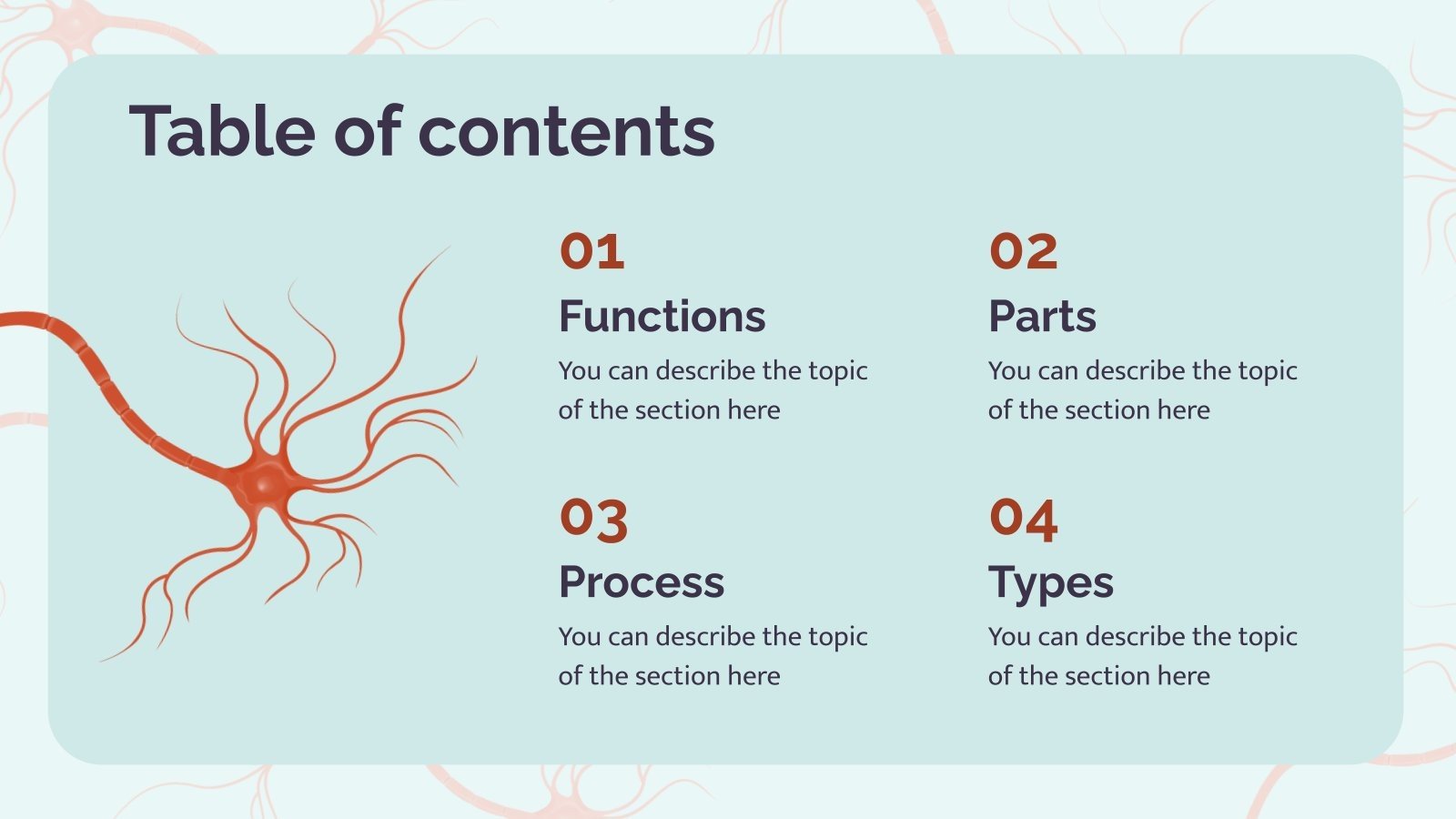 All About Nerve Cells Presentation