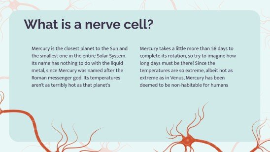 All About Nerve Cells Presentation
