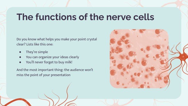 All About Nerve Cells Presentation