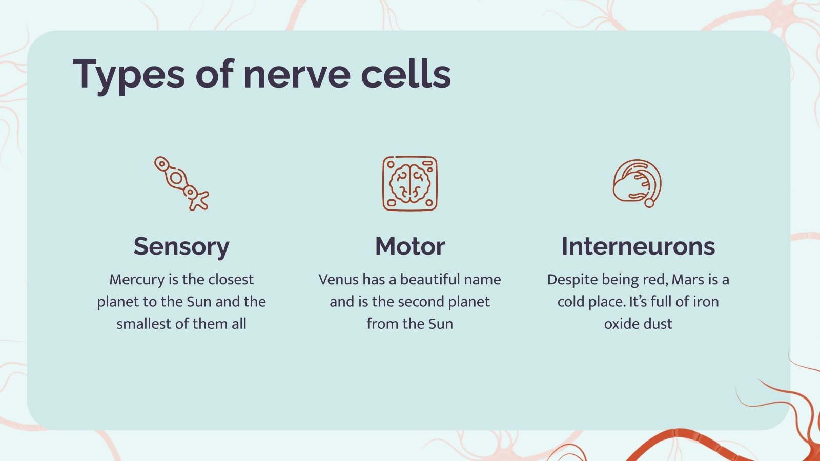 All About Nerve Cells Presentation