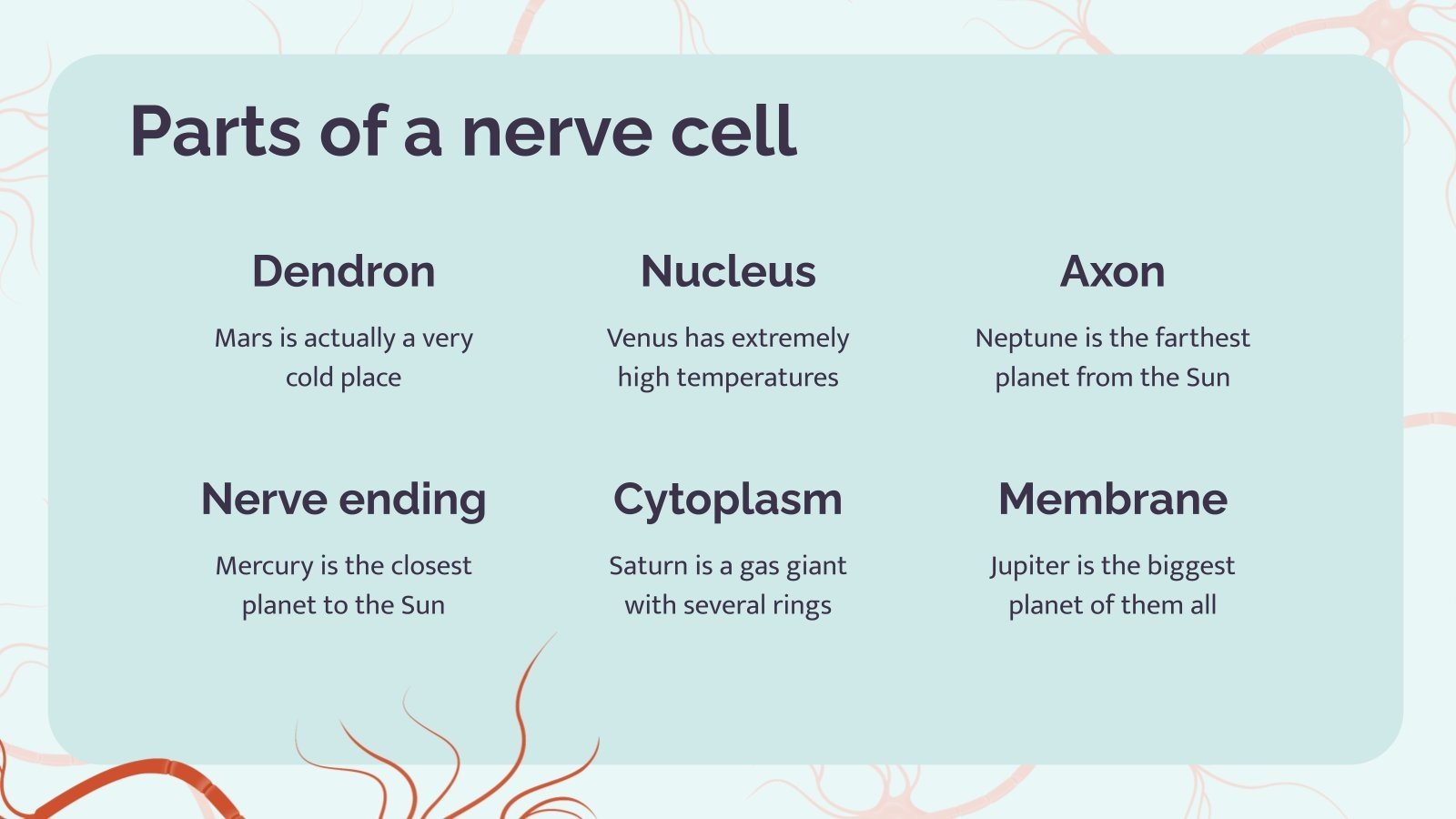 All About Nerve Cells Presentation