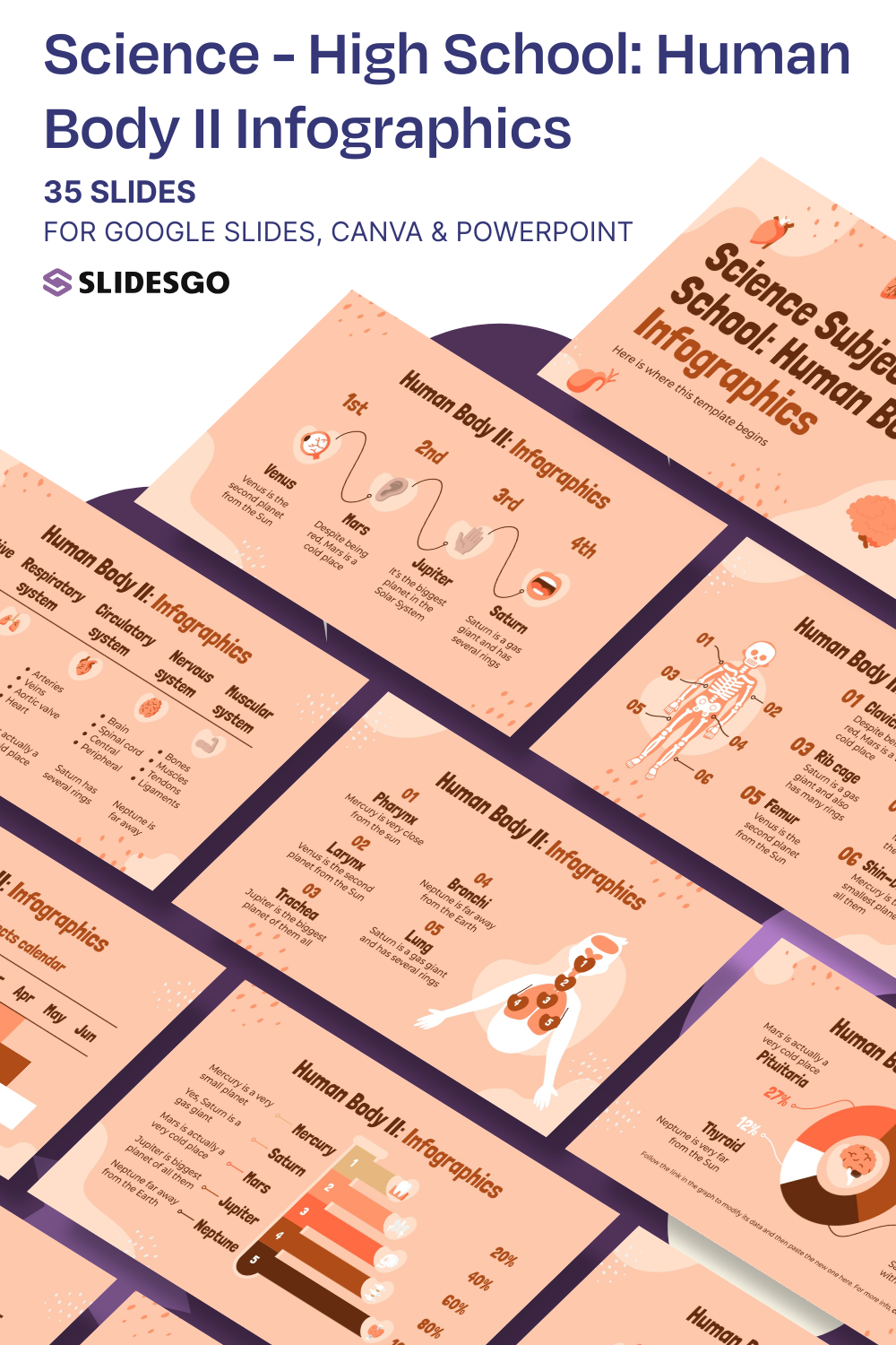 Science for High School: Human Body II Infographics