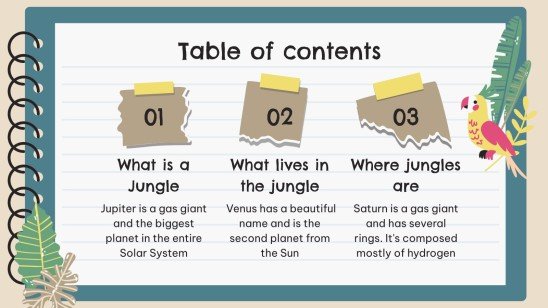 Biology Subject for Elementary School: Jungle Activities