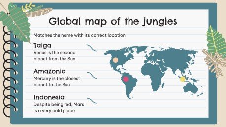 Biology Subject for Elementary School: Jungle Activities