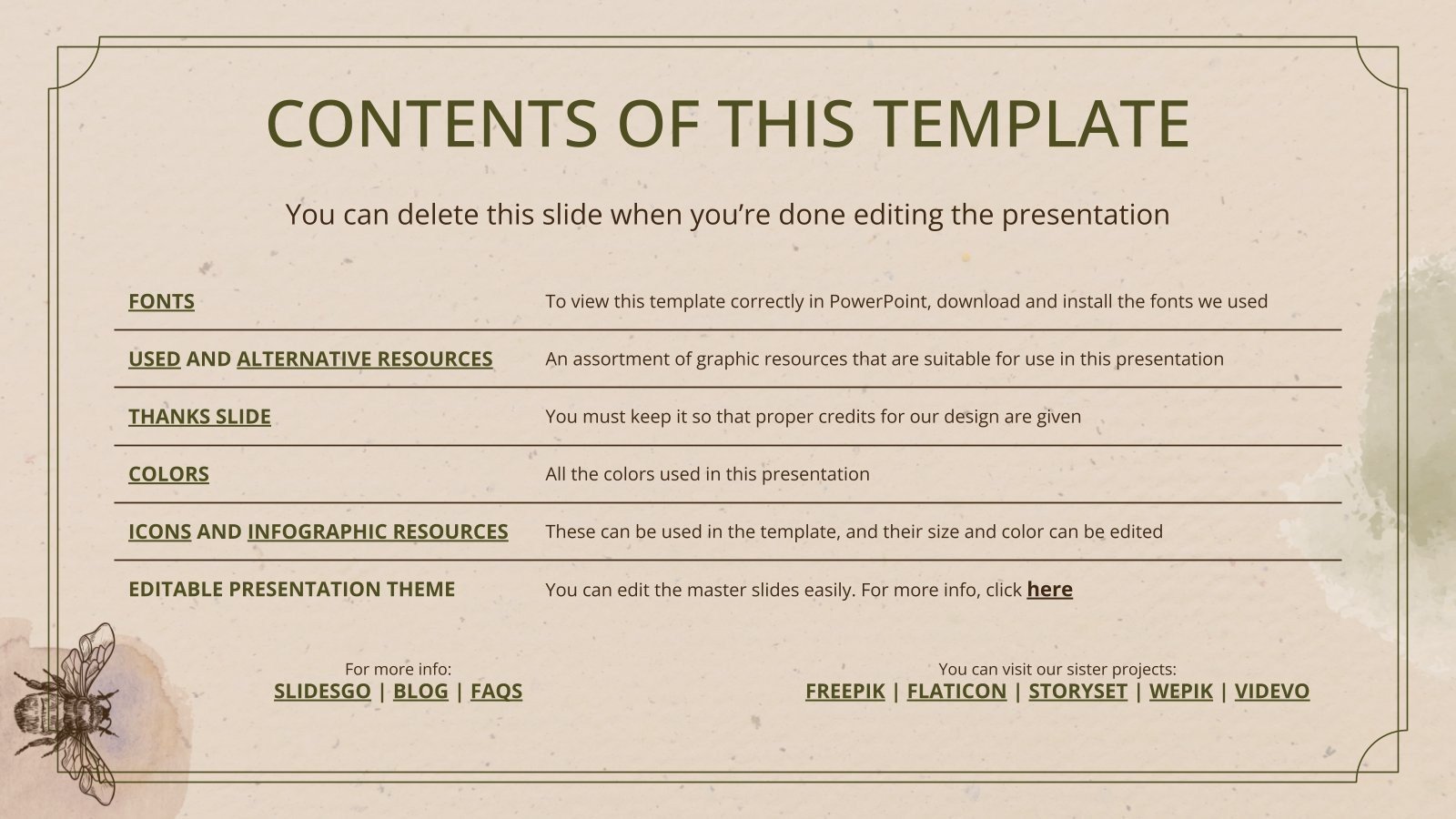 All about Flies Presentation