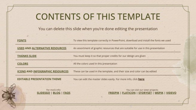 All about Flies Presentation