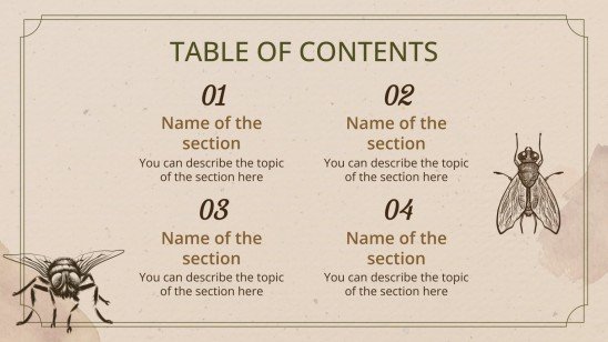 All about Flies Presentation