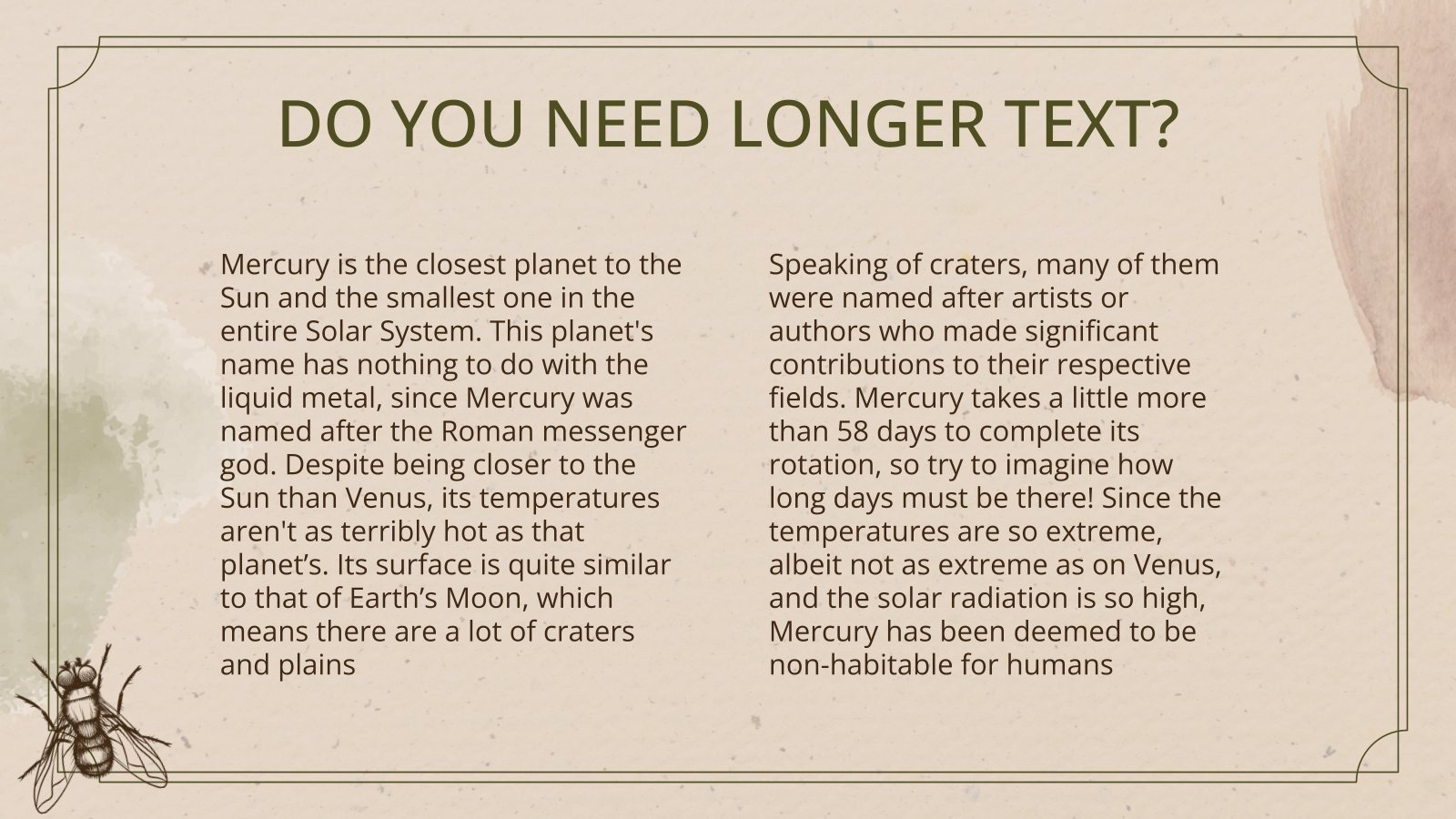 All about Flies Presentation