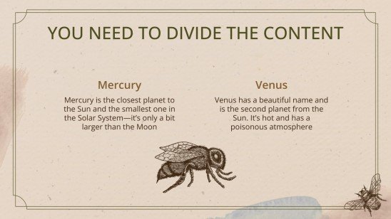 All about Flies Presentation