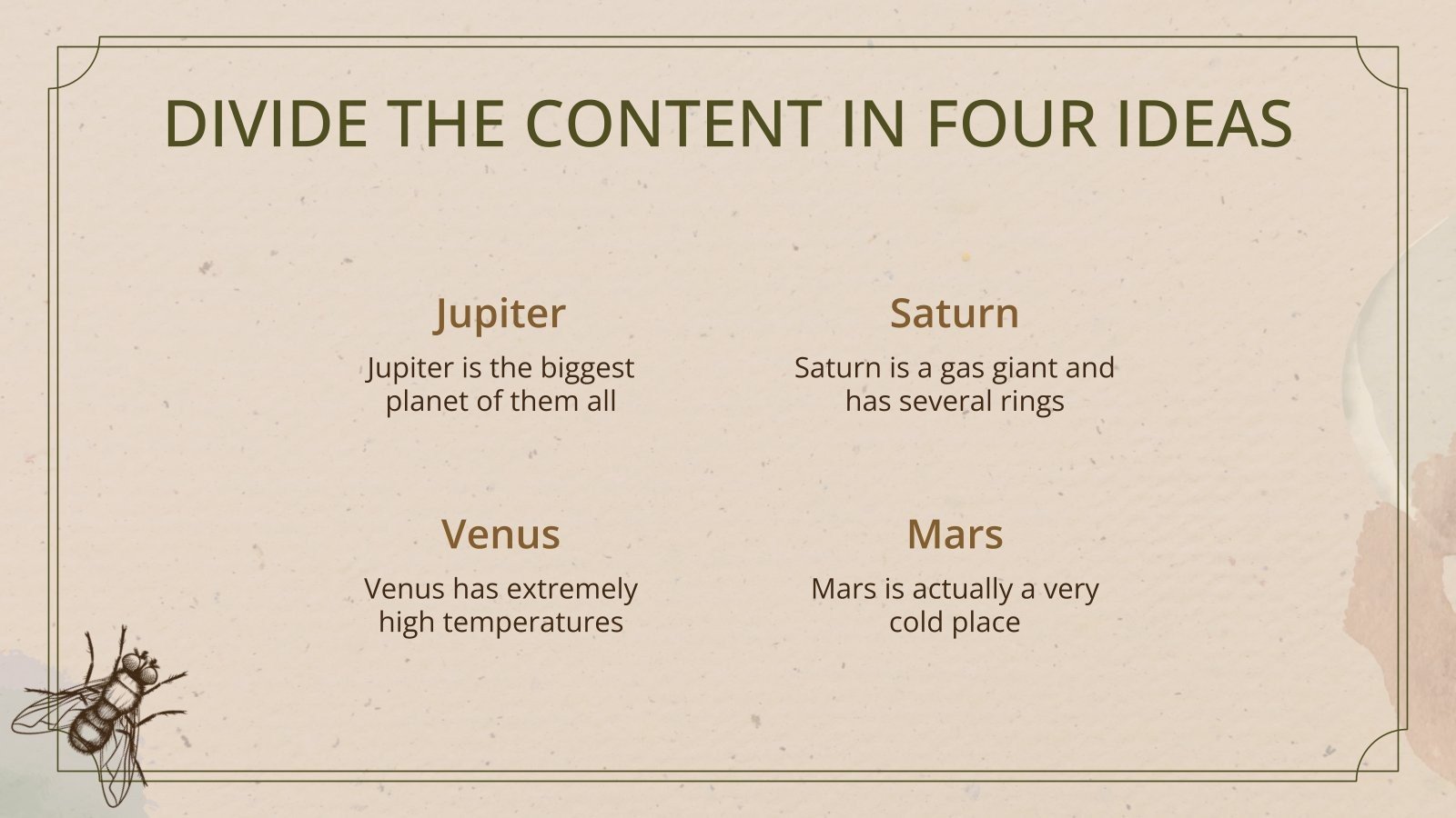 All about Flies Presentation