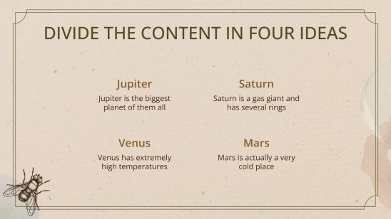 All about Flies Presentation