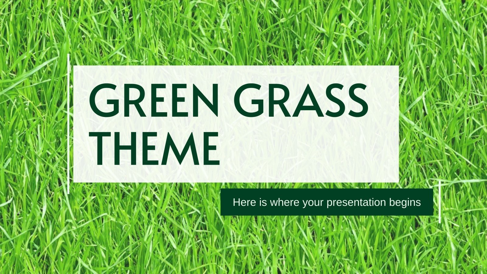 Green Grass Theme Presentation
