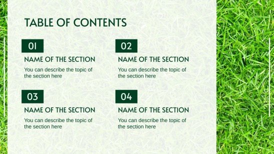 Green Grass Theme Presentation