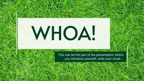 Green Grass Theme Presentation