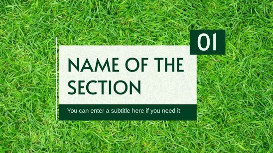 Green Grass Theme Presentation