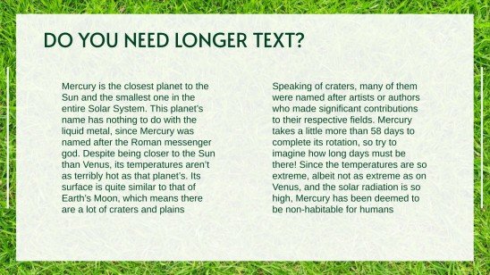 Green Grass Theme Presentation