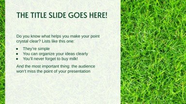 Green Grass Theme Presentation