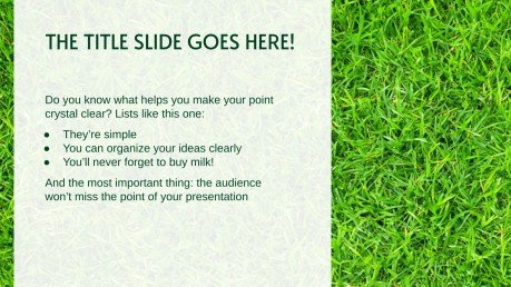 Green Grass Theme Presentation