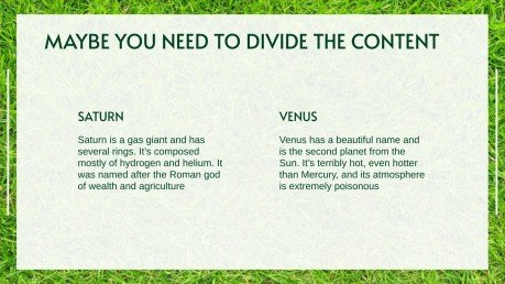 Green Grass Theme Presentation