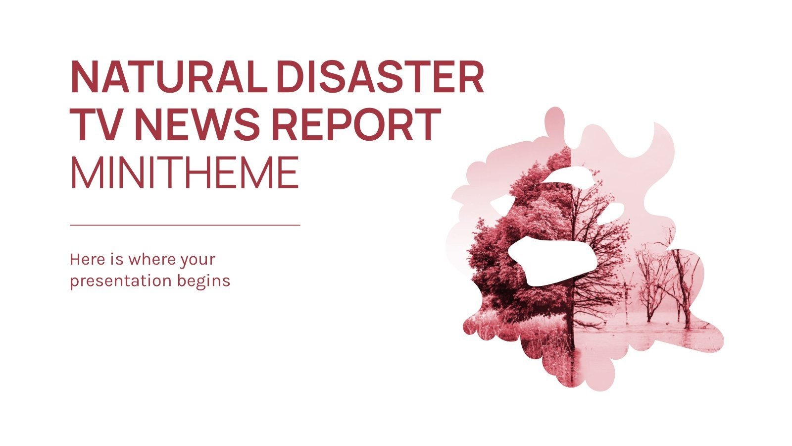Natural Disaster TV News Report Minitheme Presentation