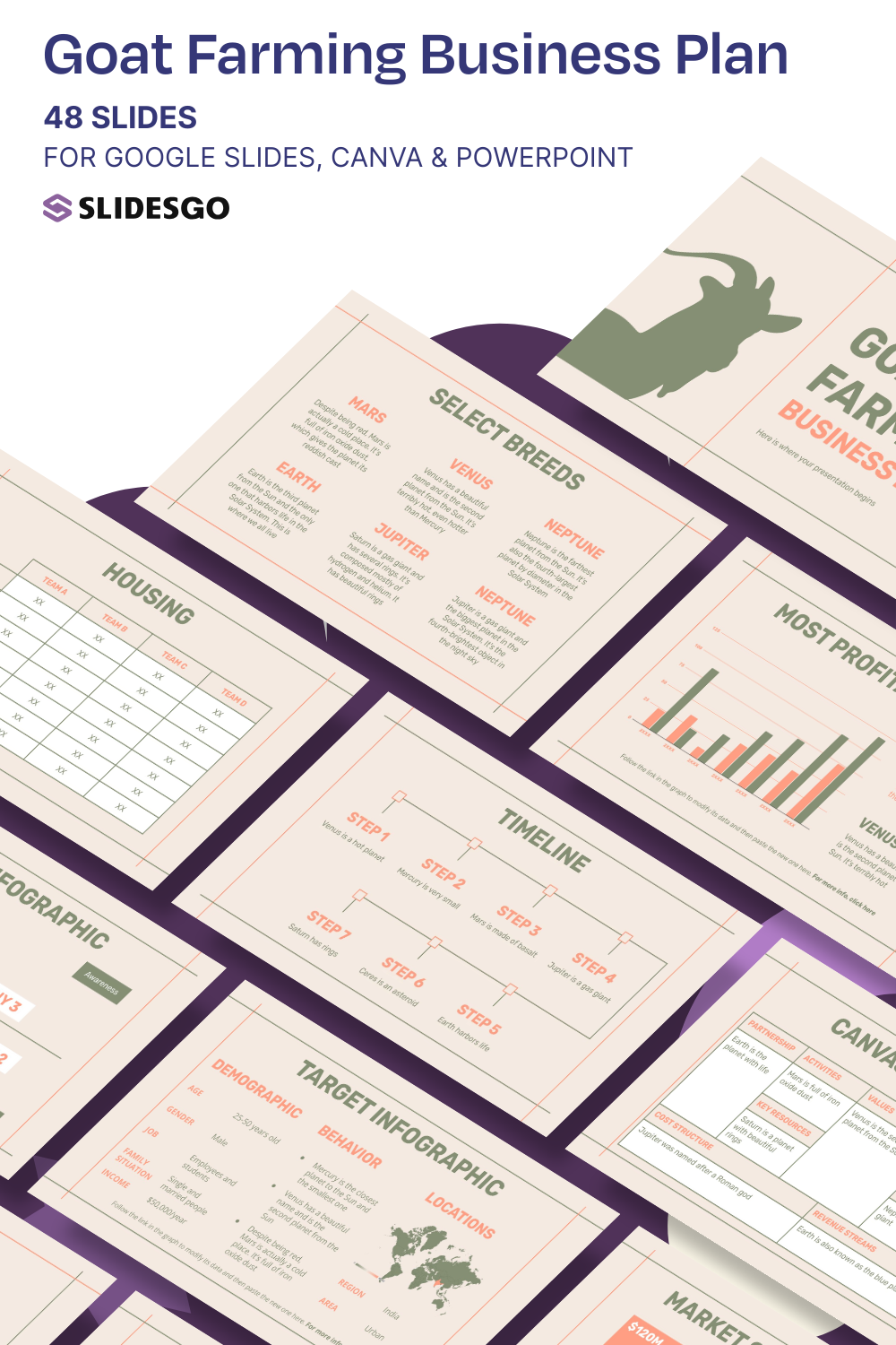 Goat Farming Business Plan Presentation