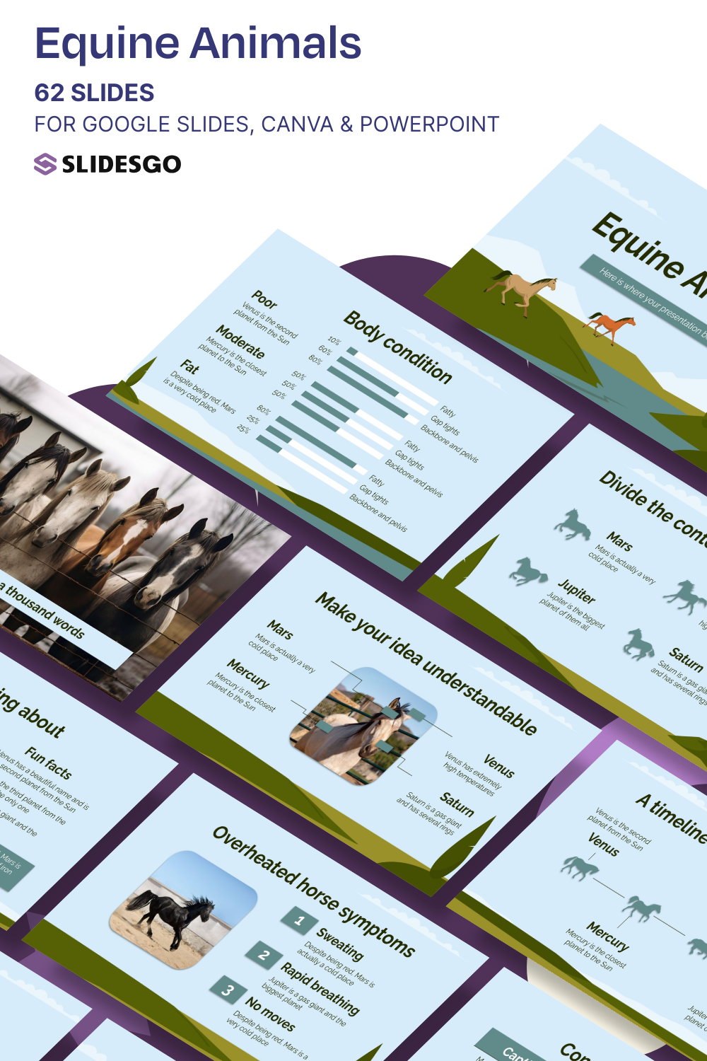 Equine Animals Presentation