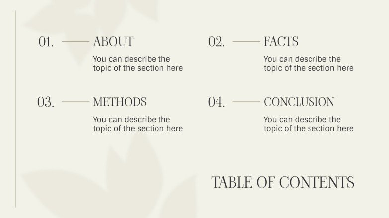 Maternity and Pregnancy Presentation