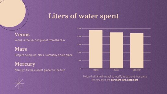 Second Hand Bazaar Minitheme Presentation