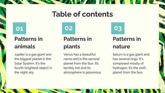 Art for Elementary School: Patterns in Nature Activities