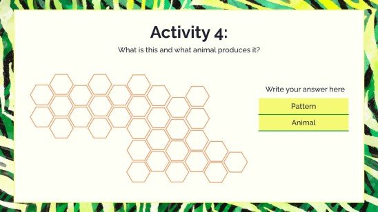 Art for Elementary School: Patterns in Nature Activities
