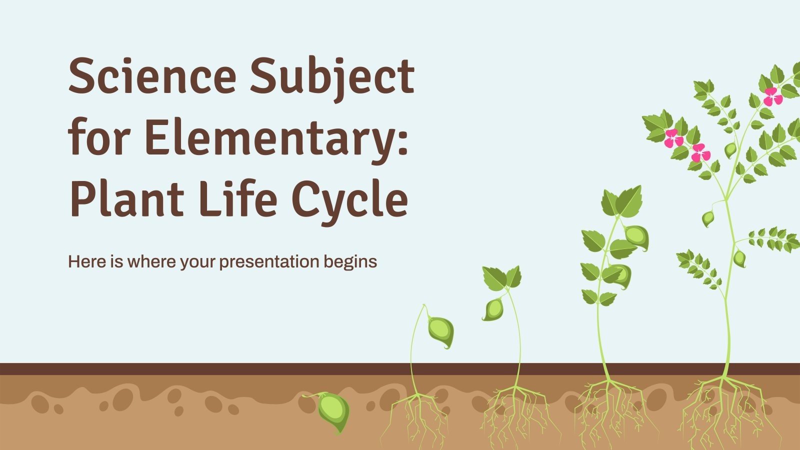Science for Elementary: Plant Life Cycle Presentation