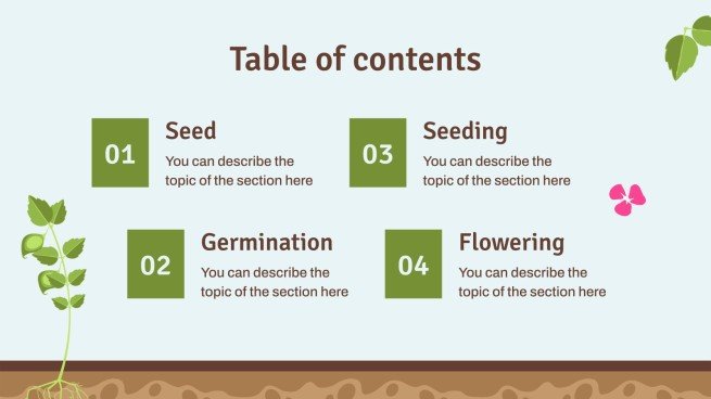 Science for Elementary: Plant Life Cycle Presentation