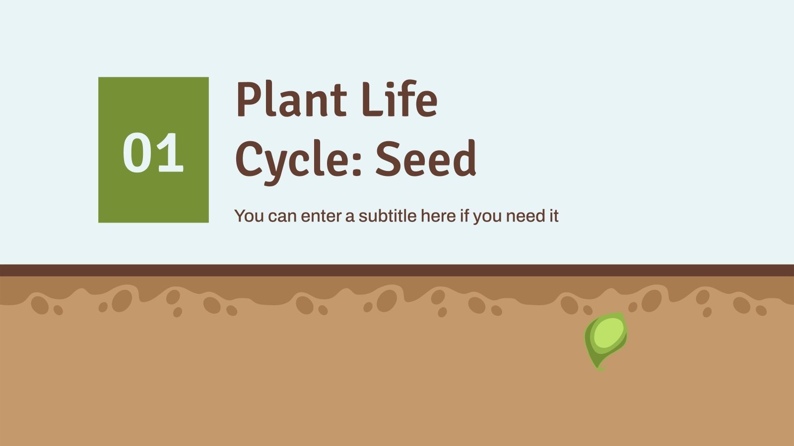 Science for Elementary: Plant Life Cycle Presentation