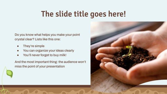 Science for Elementary: Plant Life Cycle Presentation