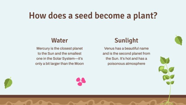 Science for Elementary: Plant Life Cycle Presentation