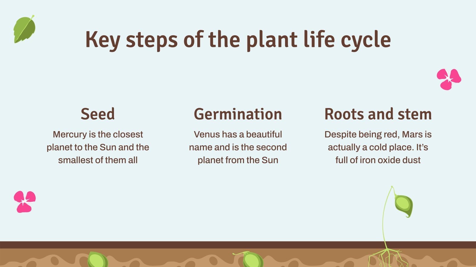 Science for Elementary: Plant Life Cycle Presentation
