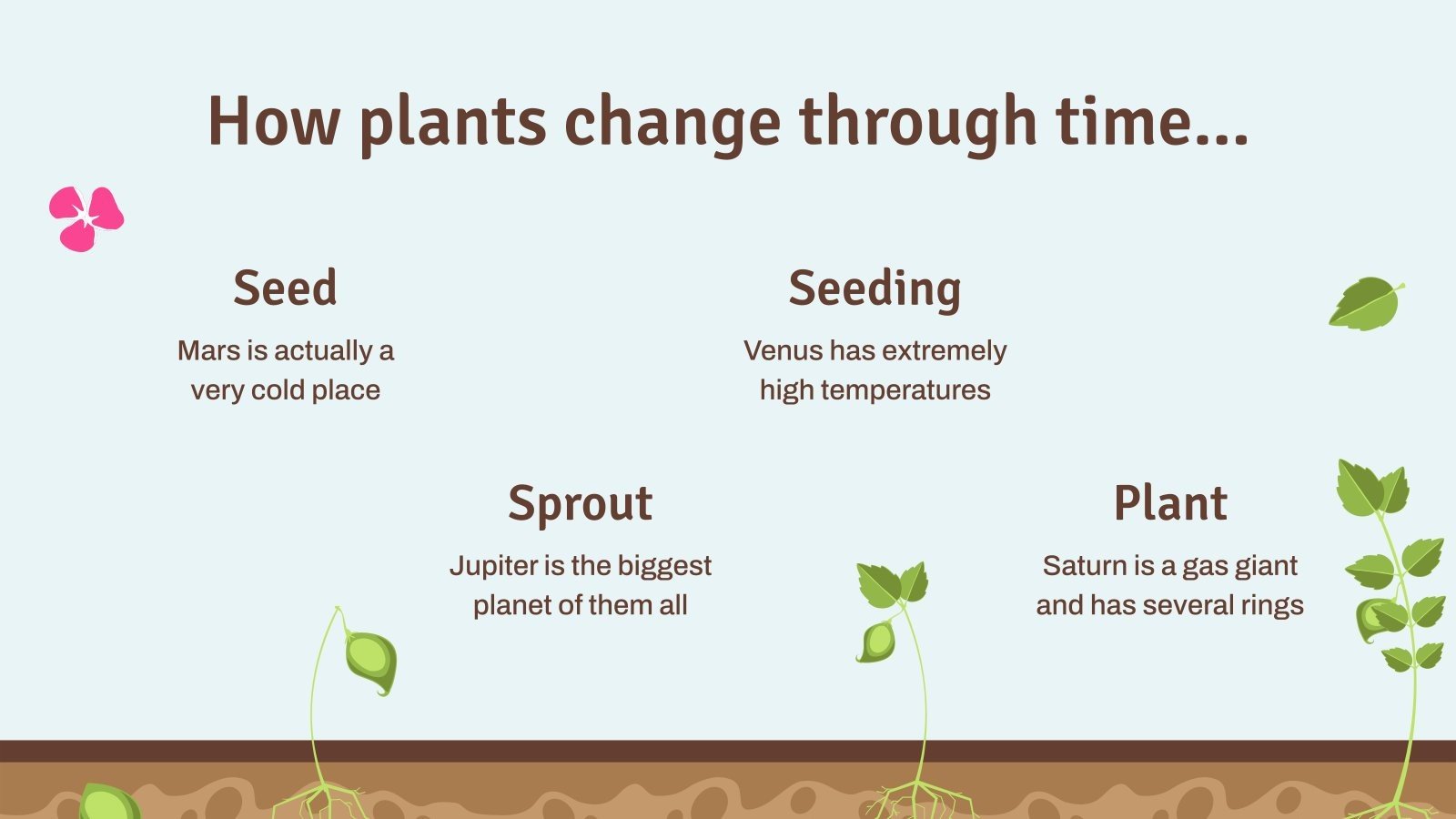 Science for Elementary: Plant Life Cycle Presentation